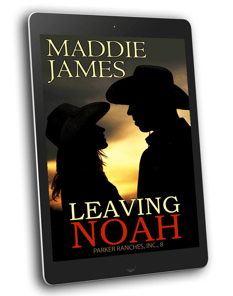 Leaving Noah (EBOOK) – Maddie James Books